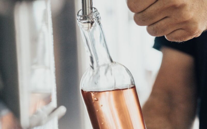 Horse back riding + wine tasting in Ramatuelle - The Sum Up