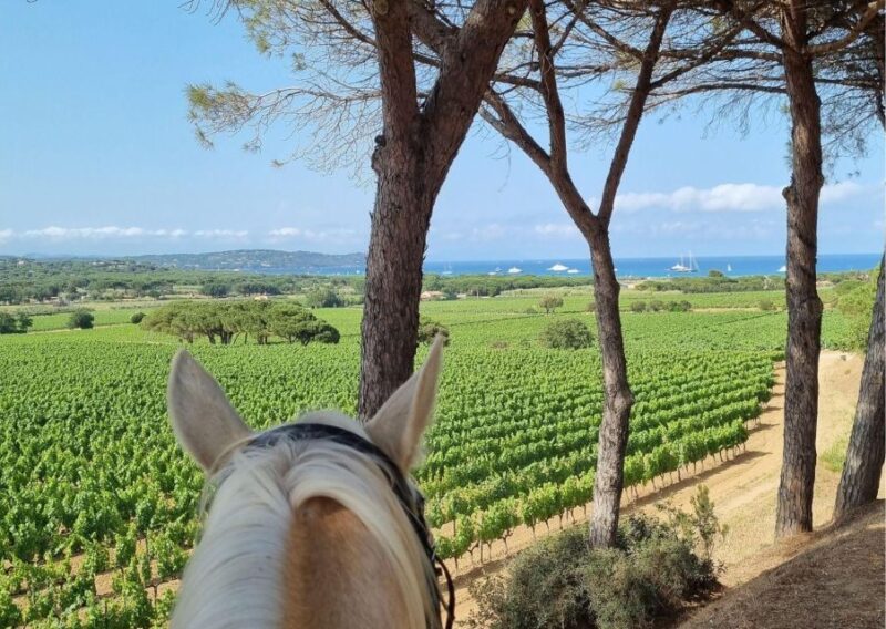 Horse back riding + wine tasting in Ramatuelle - FAQ