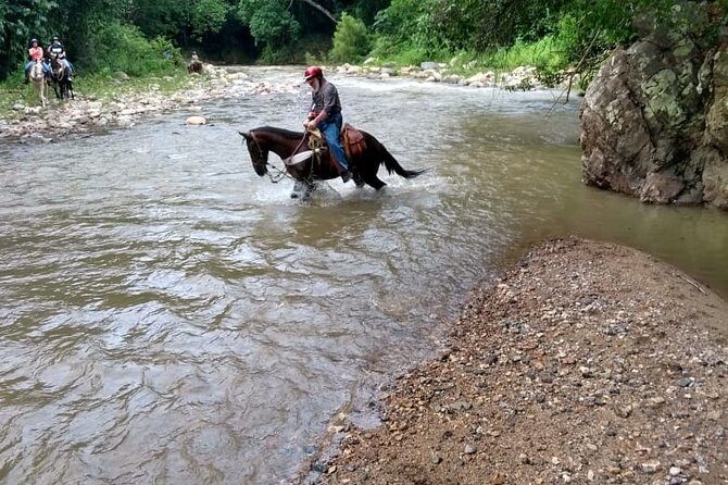 Horse Back Riding, Zipline and ATV Experience - Key Points