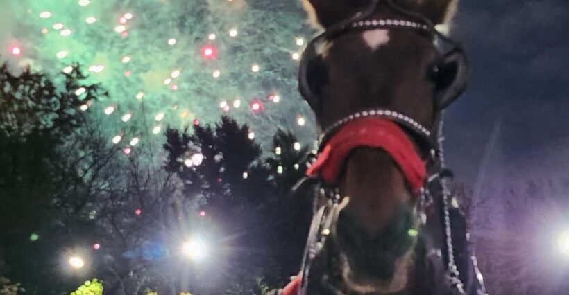Horse Carriage Ride at Rockefeller Center & Times Square - Authenticity and Value