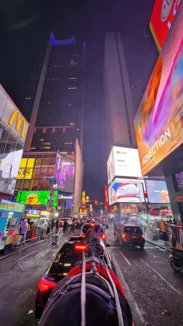 Horse Carriage Ride at Rockefeller Center & Times Square - Final Thoughts: Who Will Love This Tour?