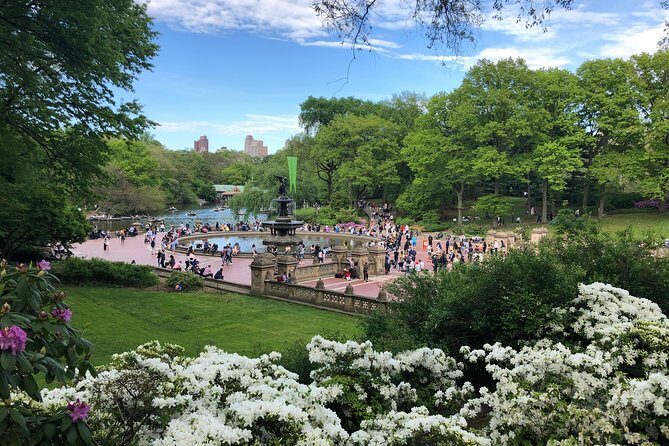 Horse Carriage Ride to/from Tavern On The Green (Up to 4 Adults) - The Itinerary: What You’ll See and Do