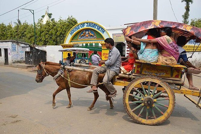 Horse Carriage (Tonga) Tour In The Old City Of Bikaner - An In-Depth Look at the Horse Carriage Tour in Bikaner
