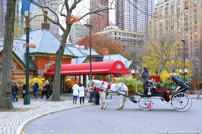 Horse Carriage Tour in New York City's Central Park Small Loop - An In-Depth Look at the Central Park Horse Carriage Tour