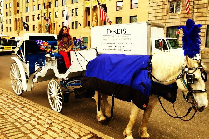 Horse Carriage Tour in New York City's Central Park Small Loop - The Sum Up: Is It Worth It?