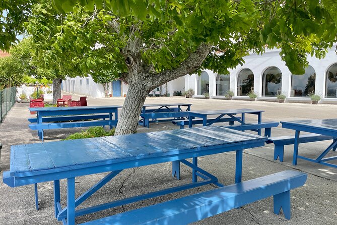 Horse Carriage Tour on the Mountain in Palmela - Practical Considerations