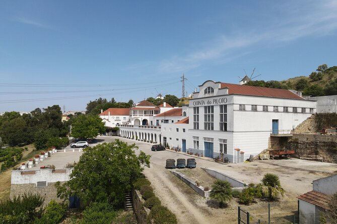 Horse Carriage Tour on the Mountain in Palmela - Who Will Love This Tour?