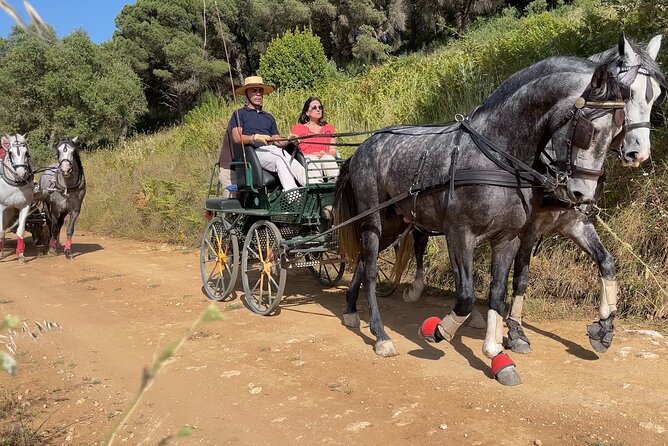 Horse Carriage Tour on the Mountain in Palmela - Frequently Asked Questions