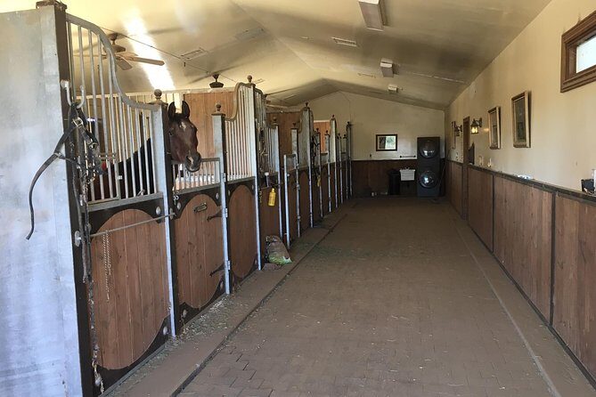 Horse Country Estate and Vineyard Wine Tasting Tour - Key Points