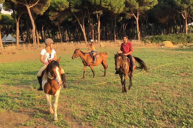 Horse Day in Ancient Rome - Exploring the Natural Environment