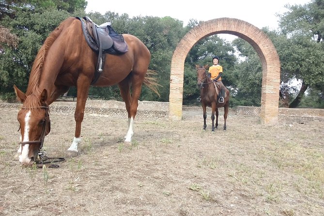 Horse Day in Ancient Rome - Health and Accessibility Considerations