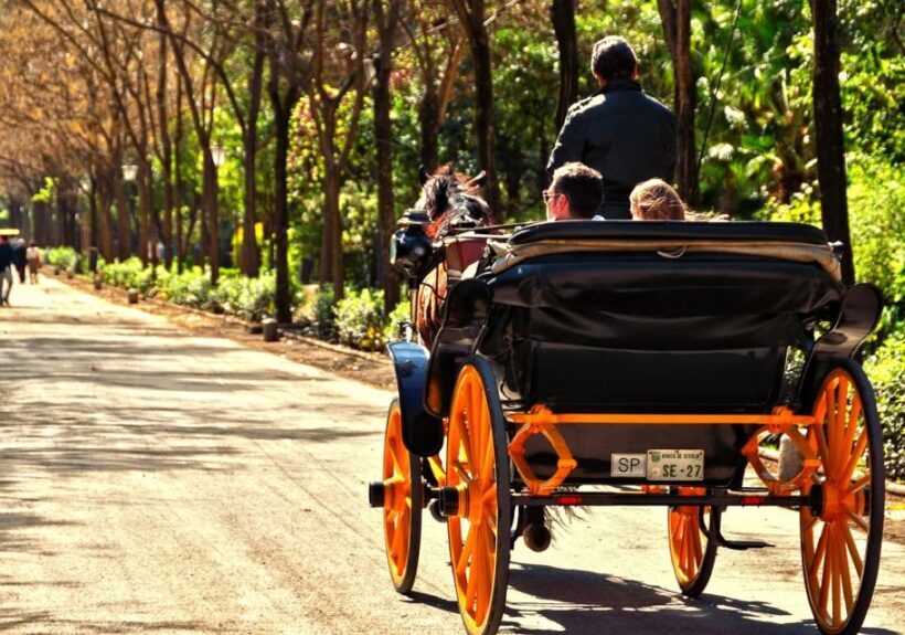 Horse-Drawn Carriage Ride Through Seville - Final Thoughts