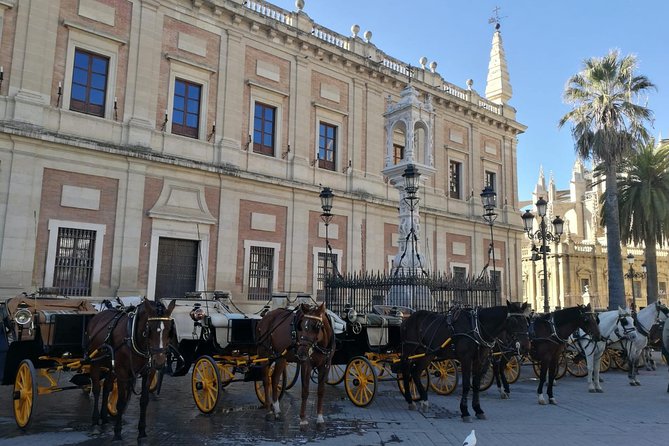 Horse-Drawn Carriage Ride through Seville - Pricing & Value Analysis