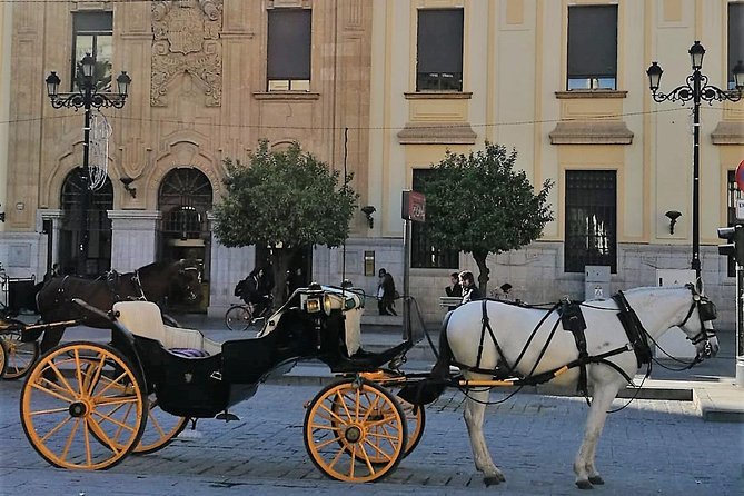 Horse-Drawn Carriage Ride through Seville - Practical Details & Tips