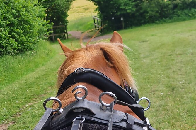 Horse Drawn Carriage Ride York - Meeting and End Points