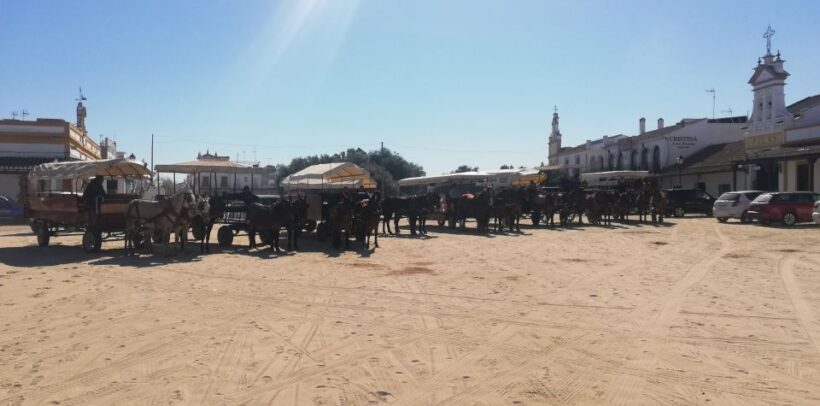 Horse-Drawn Carriage Route Through Doñana Park and The Villa - The Itinerary in Detail