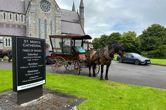 Horse-Drawn Carriage Tours in Killarney - Meeting and Pickup Details