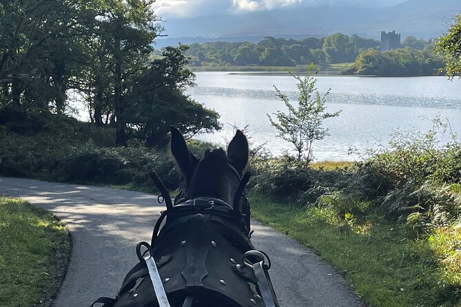 Horse-Drawn Carriage Tours in Killarney - The Beauty of Killarney Park