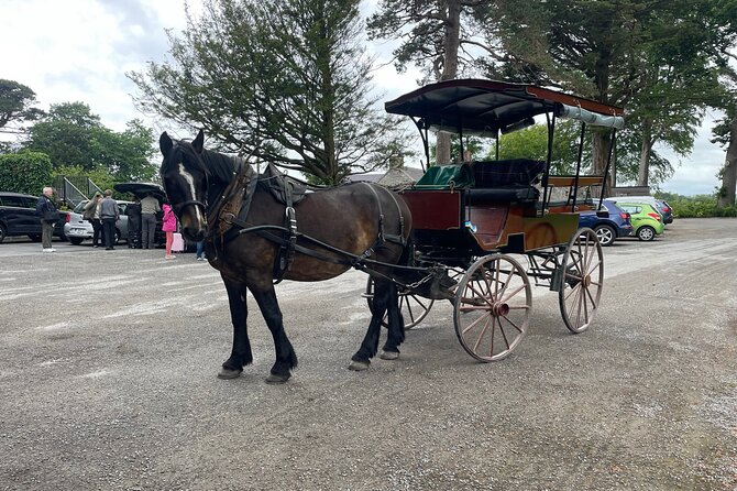 Horse-Drawn Carriage Tours in Killarney - Unique Cultural Immersion