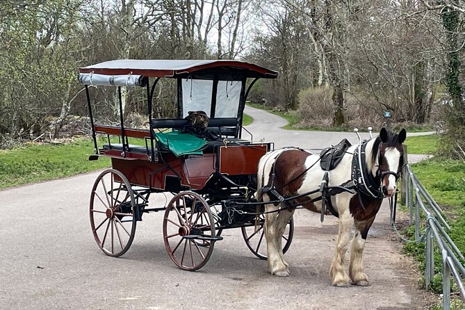 Horse-Drawn Carriage Tours in Killarney - Making Memories With Loved Ones