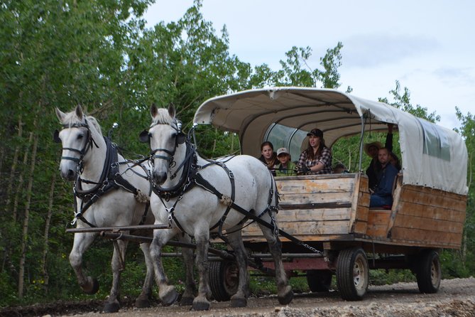 Horse-Drawn Covered Wagon Ride with Backcountry Dining - Price and Value
