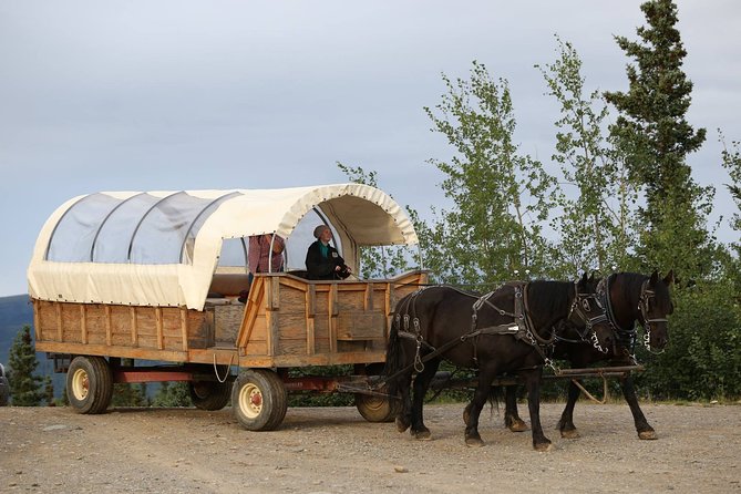 Horse-Drawn Covered Wagon Ride with Backcountry Dining - Who Is This Tour Best For?