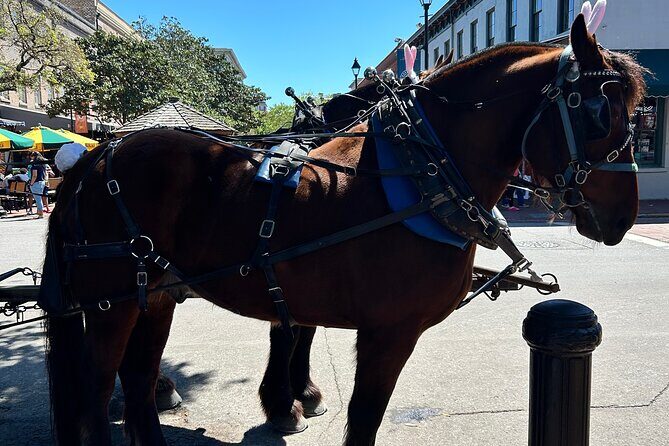 Horse Drawn Daytime Group Narrated Historic Overview Tour - Key Points