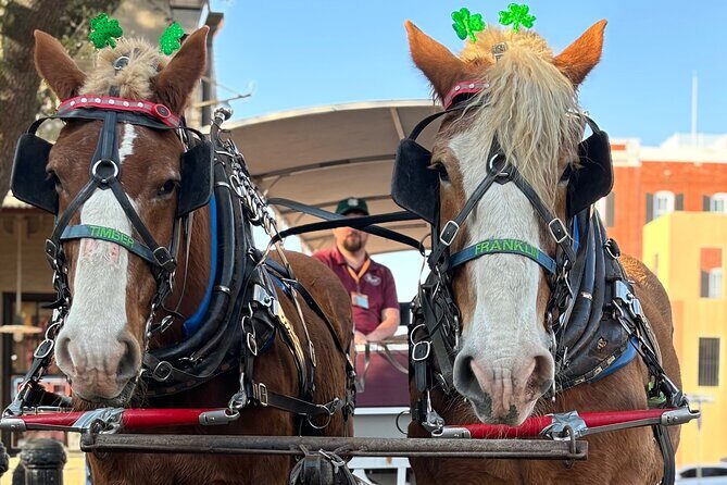 Horse Drawn Daytime Group Narrated Historic Overview Tour - The Itinerary: What to Expect on Your Ride