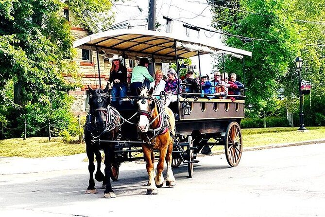 Horse Drawn Historical Guided Tour - The Experience in Detail
