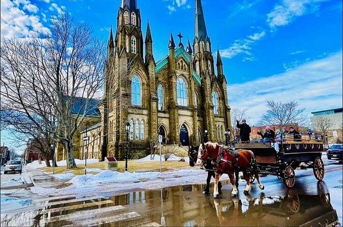 Horse Drawn Historical Guided Tour - The Sum Up
