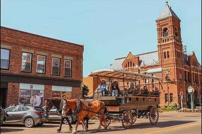 Horse Drawn Historical Guided Tour - FAQ