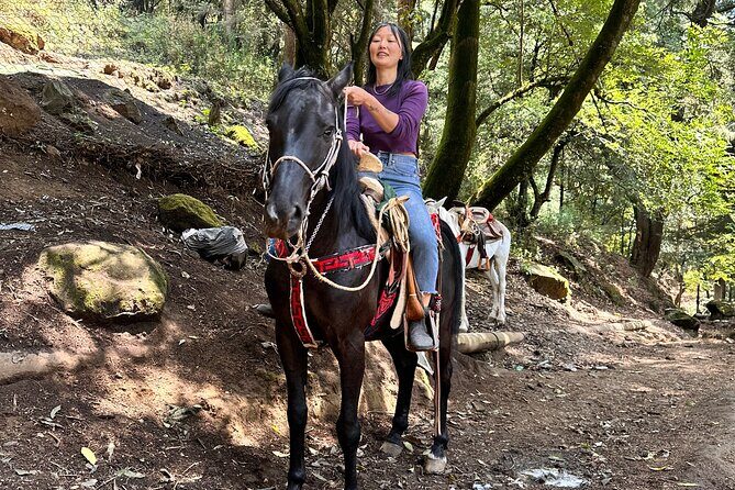 Horse experience with my family - The Value of This Experience