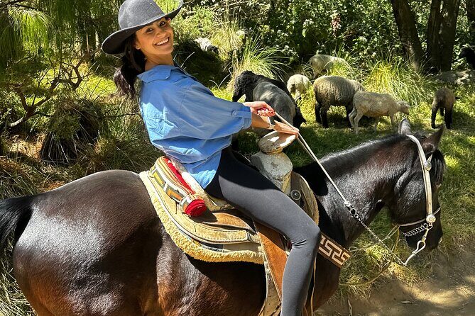 Horse experience with my family - Who Will Love This Tour?