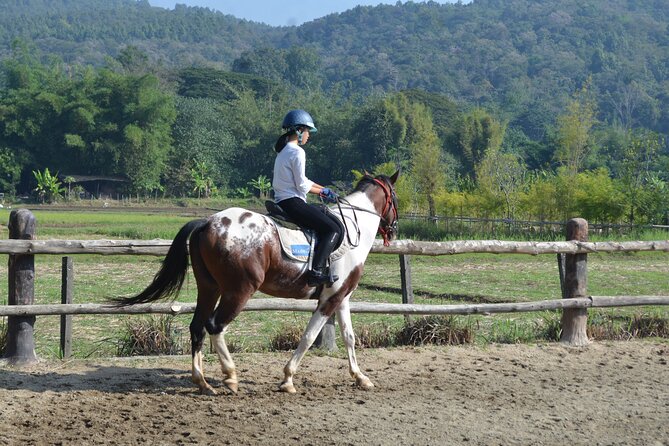 Horse Lesson+Riding+Wat Tonkwen wooden temple.Chiangmai - Key Points
