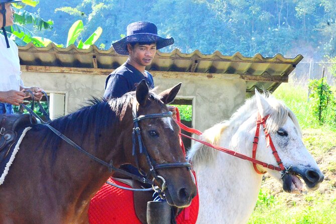 Horse Lesson+Riding+Wat Tonkwen wooden temple.Chiangmai - The Experience Through Travelers’ Eyes