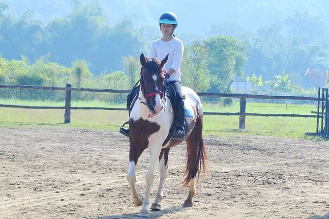 Horse Lesson+Riding+Wat Tonkwen wooden temple.Chiangmai - Who Will Enjoy This Tour?