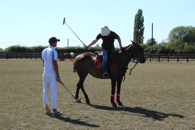 Horse & Polo in Windsor, UK - The Itinerary: What to Expect