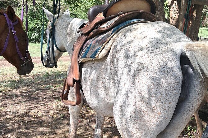 Horse Ride and Hike Tour to Pigeon Island with Lunch with Dore's - An In-Depth Look at the Horse Ride and Hike Tour