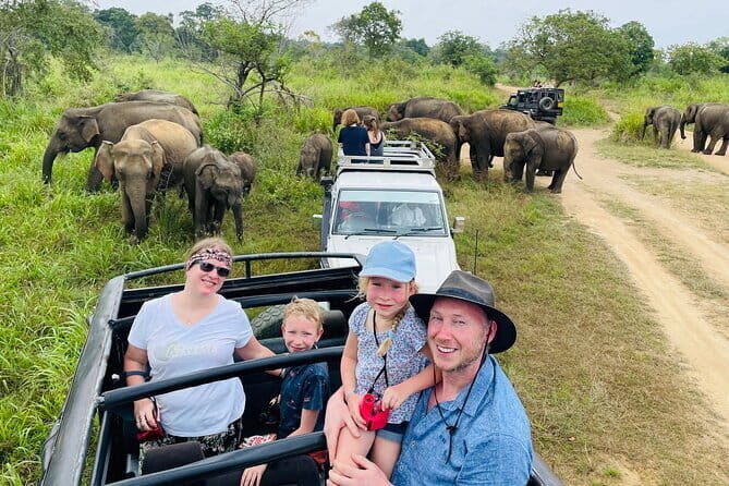 Horse Ride around a Village from Habarana - Why You Should Consider This Tour