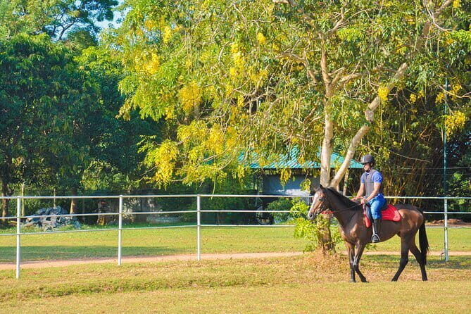 Horse Ride around a Village from Habarana - Concluding Thoughts