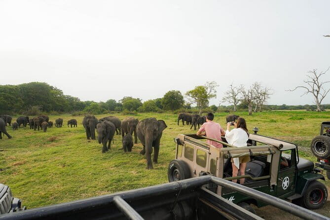 Horse Ride around a Village from Habarana - FAQ