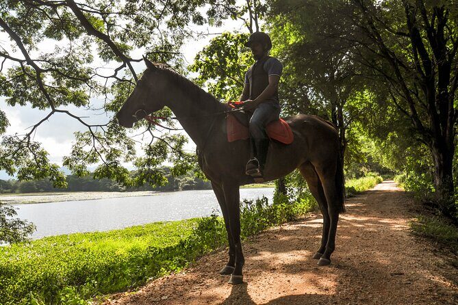 Horse Ride around a Village from Sigiriya - Introduction