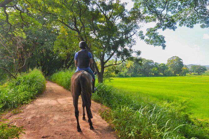 Horse Ride around a Village from Sigiriya - Key Points