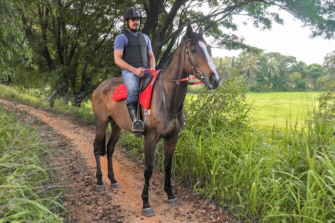 Horse Ride around a Village from Sigiriya - Practical Considerations