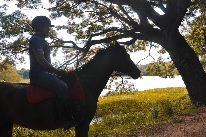 Horse Ride around a Village from Sigiriya - Authenticity and Authentic Experiences