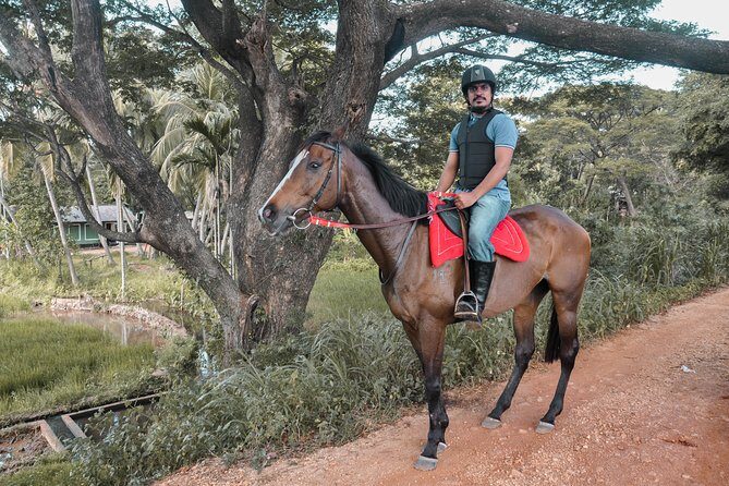 Horse Ride around a Village from Sigiriya - The Sum Up
