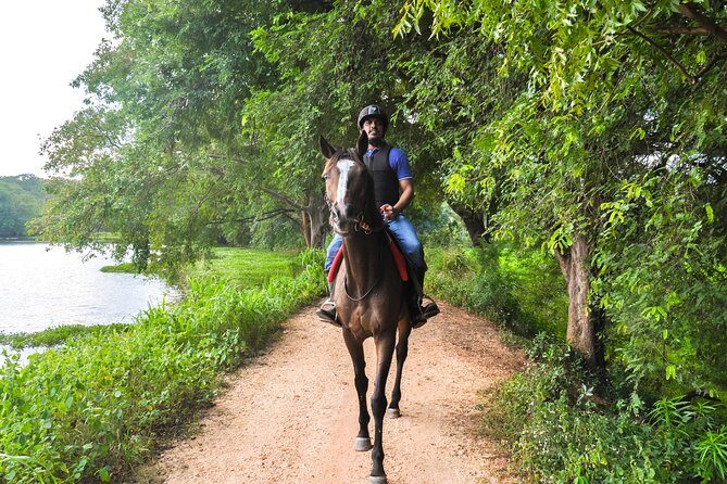 Horse Ride Experience from Dambulla - Practical Tips for Participants