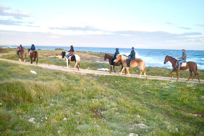 Horse Ride in a Salento Nature Reserve With Transfer From Lecce - Whats Included