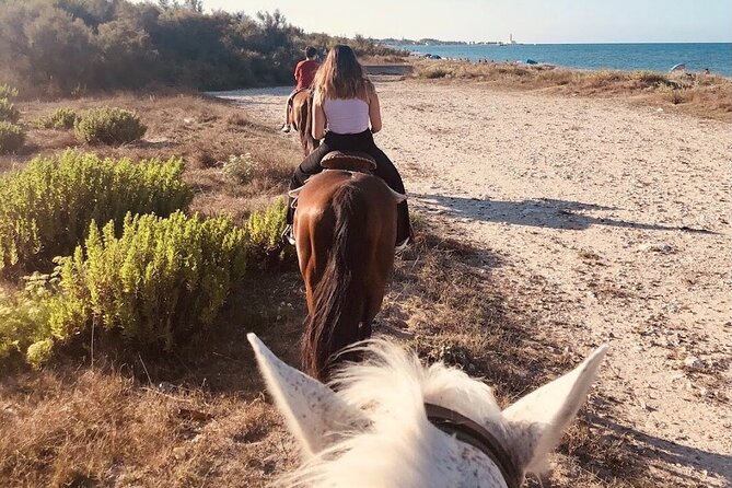 Horse Ride in a Salento Nature Reserve With Transfer From Lecce - Participant Information