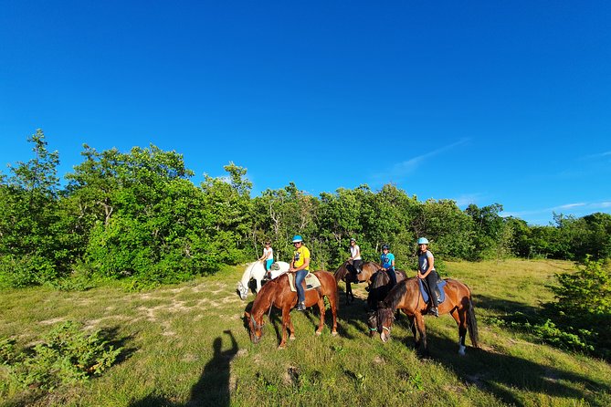 Horse Ride in Haute Provence Luberon and Forcalquier - Customer Feedback